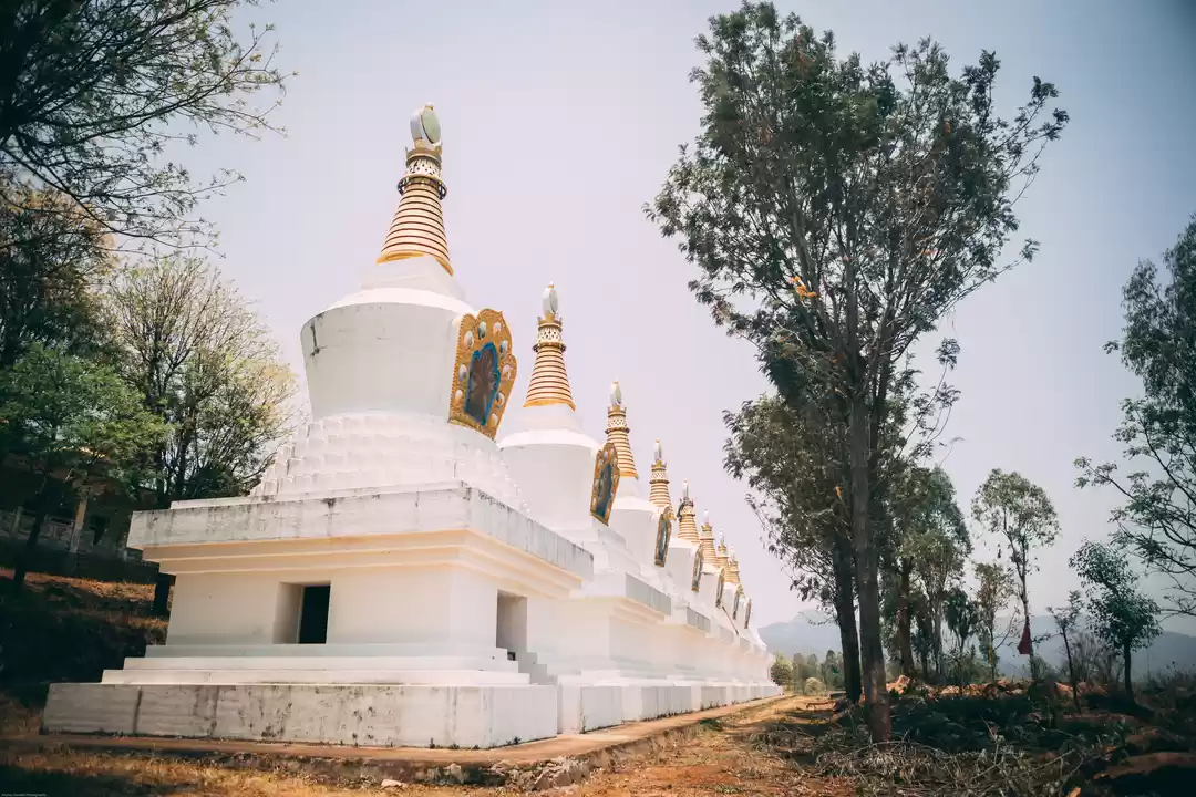 Experience the Best of Dhondenling – Monasteries, Stays & Scenic Beauty