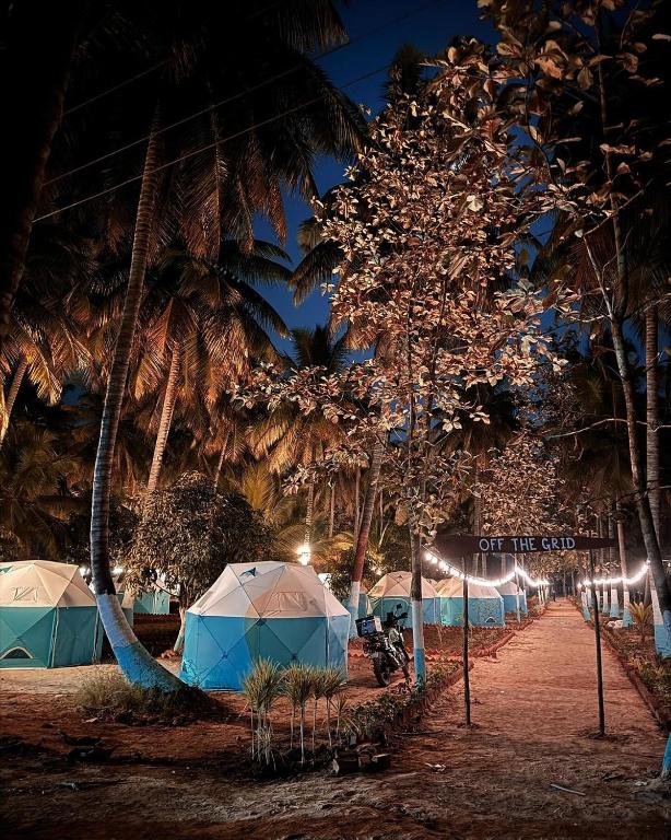 Top Dome Stays Near Bangalore: A Perfect Blend of Luxury and Adventure