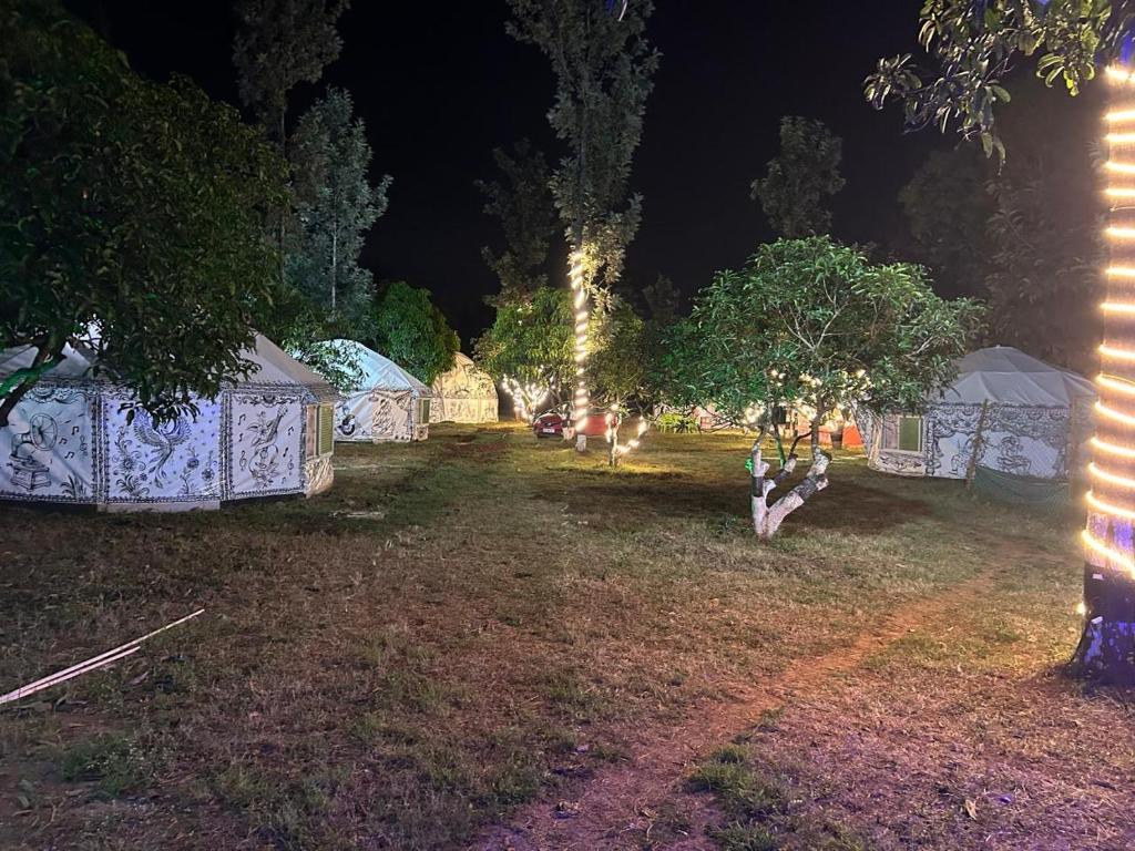 Top Dome Stays Near Bangalore: A Perfect Blend of Luxury and Adventure