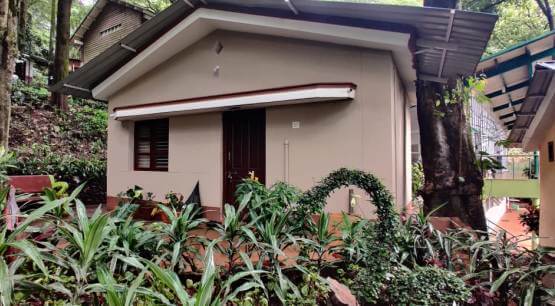 The Ultimate Guide to Kemmangundi Hill Resort | Jungle Lodges and ...