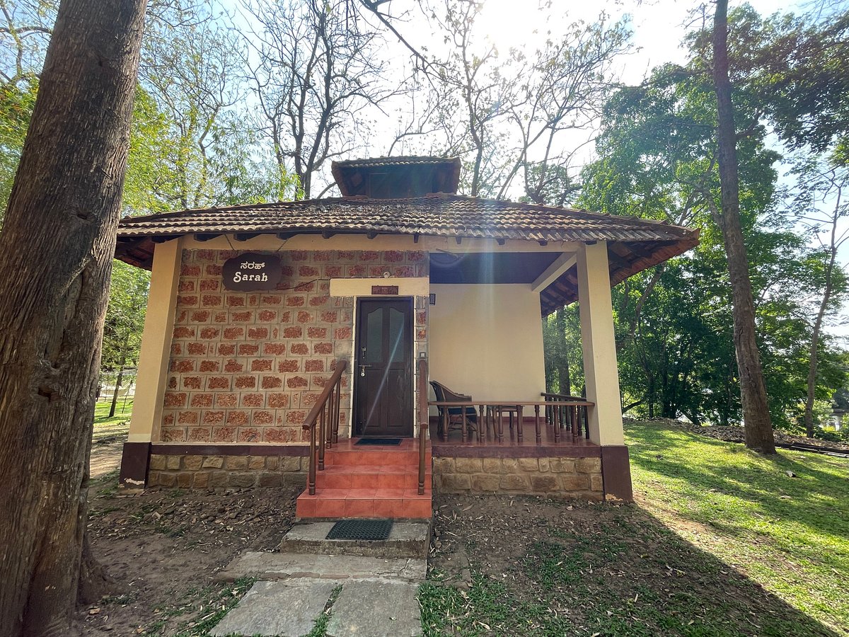 Best Elephant Camps in Karnataka - A Comprehensive Guide: Timings, Prices