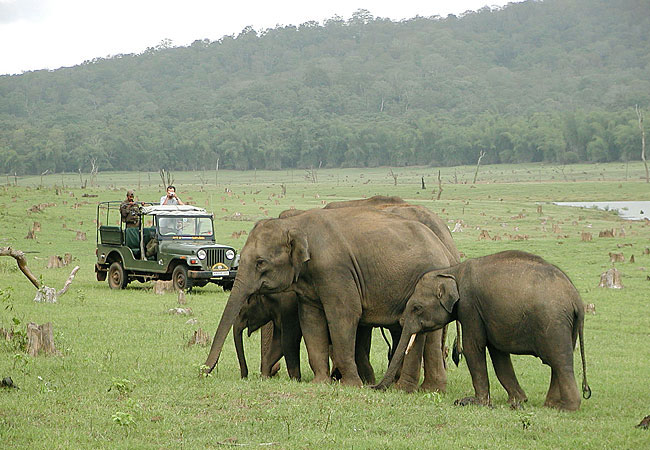 JLR Kabini River Lodge - Comprehensive Guide: Stay, Safari, Packages ...