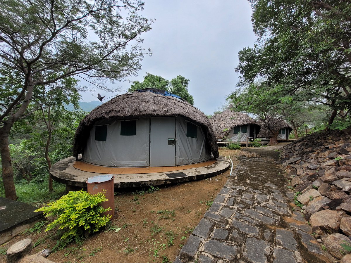 Top Dome Stays Near Bangalore: A Perfect Blend of Luxury and Adventure