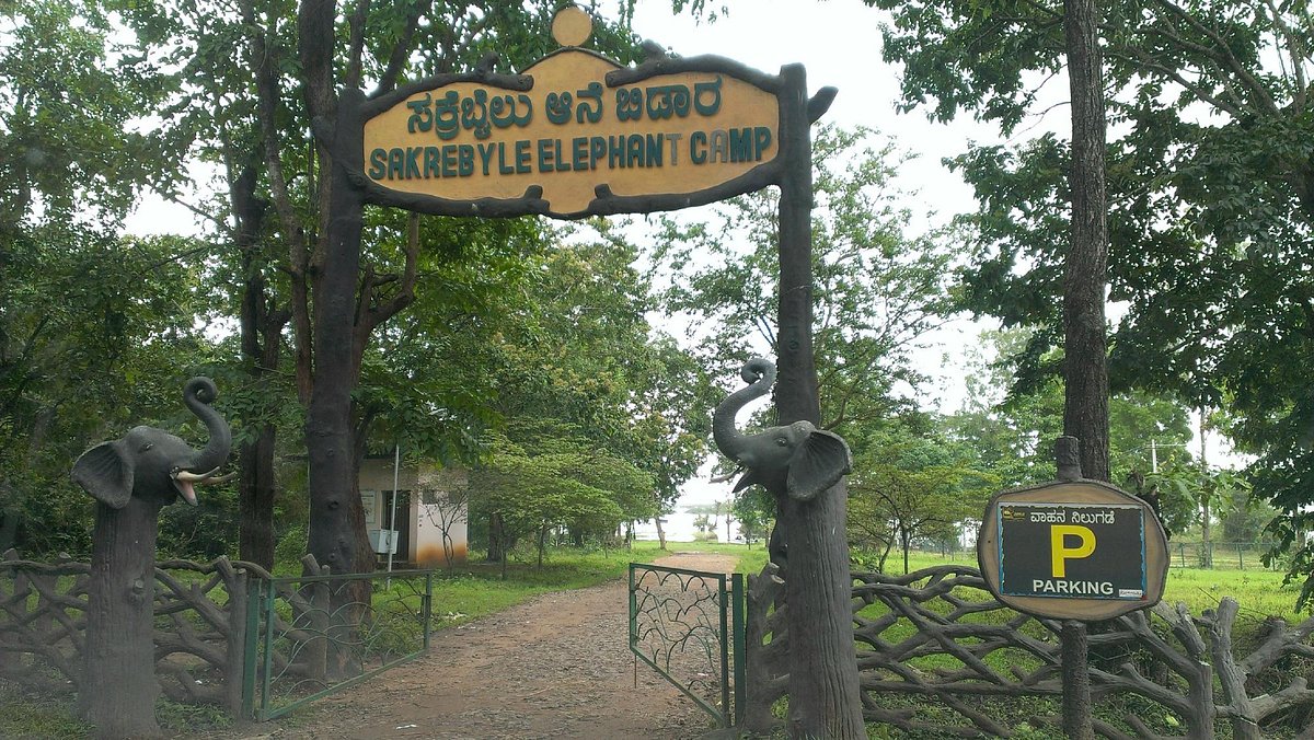 Best Elephant Camps in Karnataka - A Comprehensive Guide: Timings, Prices