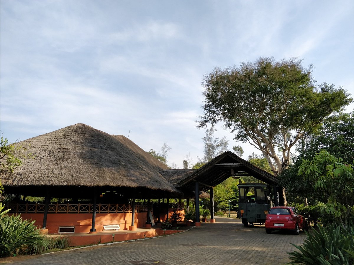 The Ultimate Guide to JLR Kings Sanctuary | Nagarhole Resorts | Rajiv ...