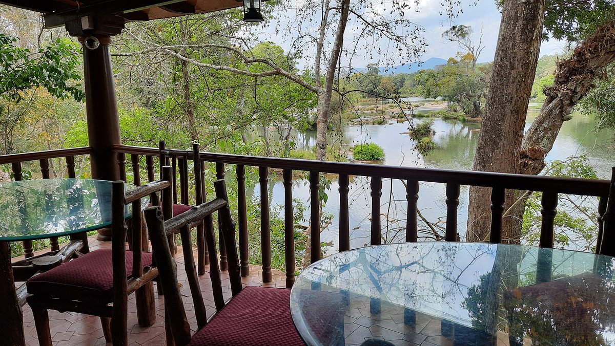 The Ultimate Guide to Dubare Elephant Camp | Coorg Jungle Lodges & Resorts